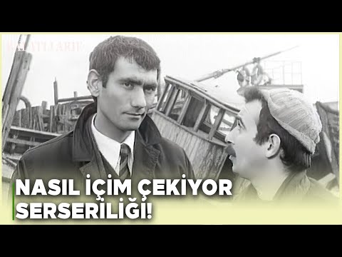 Balatlı Arif Türk Filmi | Tıbbiyeli Arif'in Canı Serserilik Yapmak İstiyor