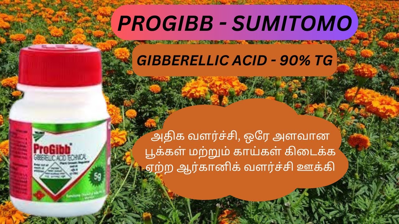 Plant growth regulator|Progibb-sumitomo|Gibberellaic acid-90%TG|Tamil ...