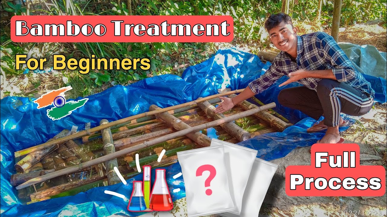 Bamboo treatment process || HINDI || Chamical treatment of bamboo 👍 ...