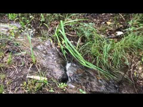 august rain - YouTube