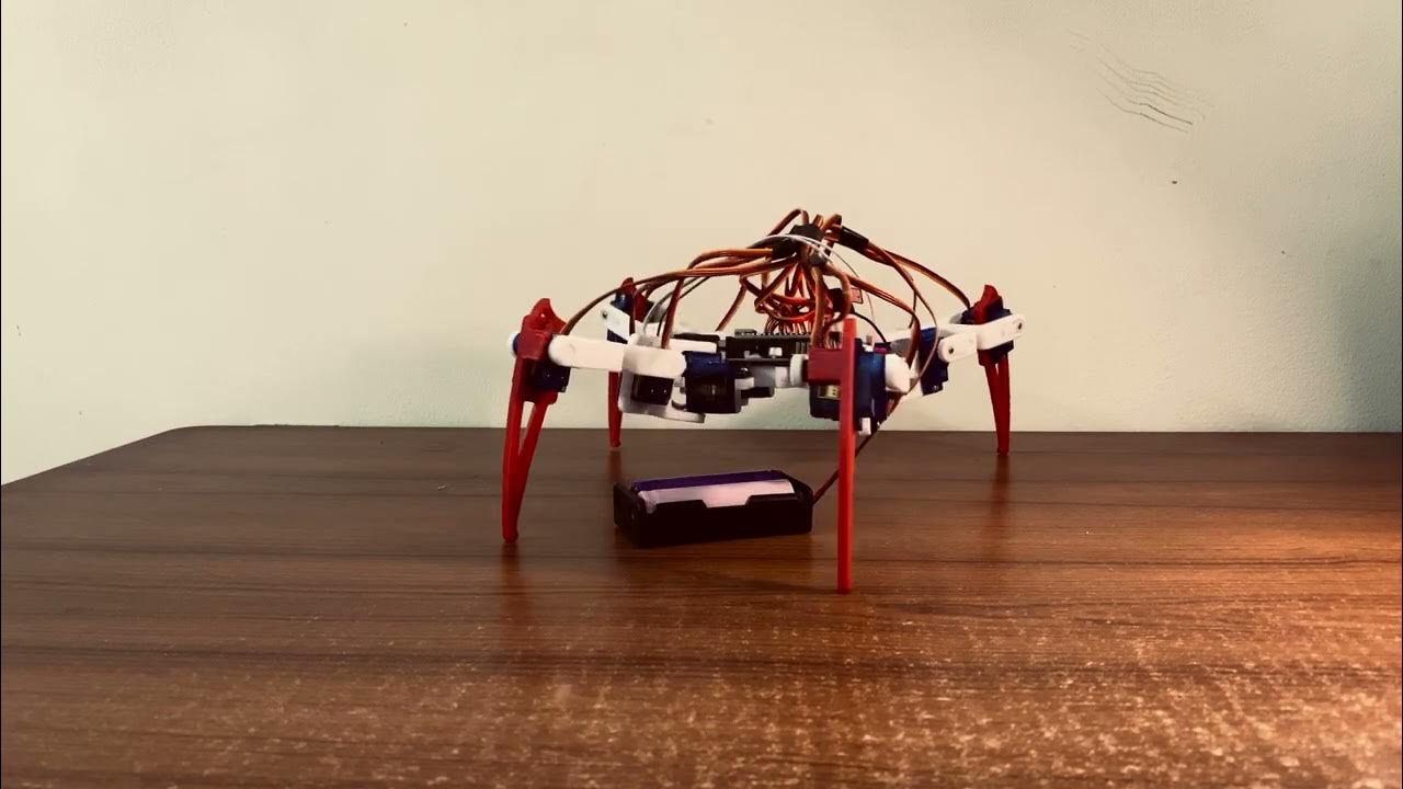 Bionic quadruped robot / spider bot - YouTube