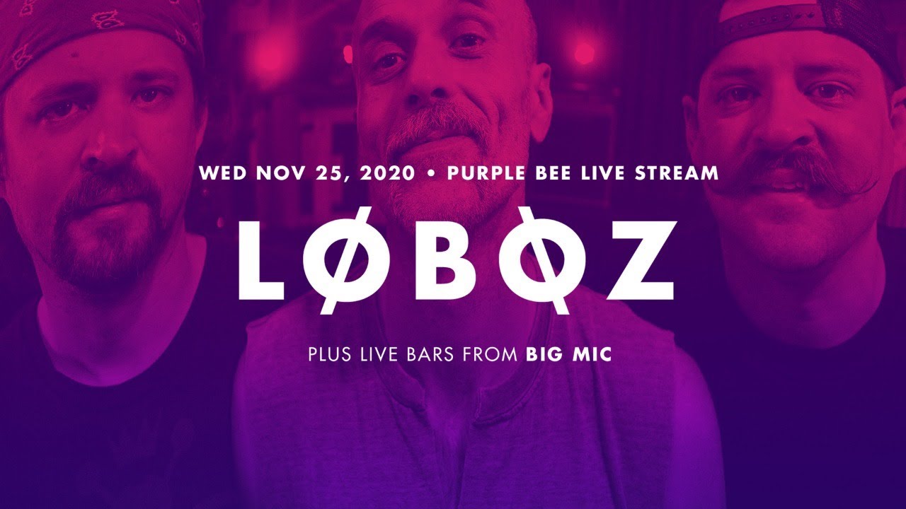 LoBoZ • Purple Bee Groove Party - YouTube
