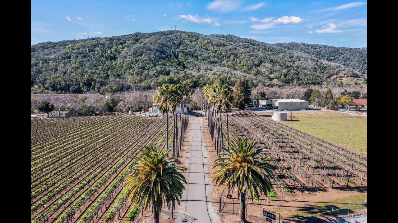 Turn-Key Winery and Vineyard Estate - YouTube