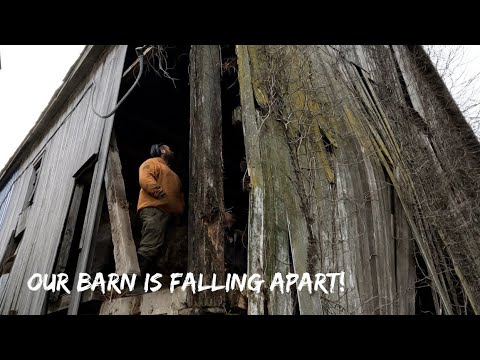 Prepping Our Old Wooden Barn for it’s Transformation! Let’s move out ...