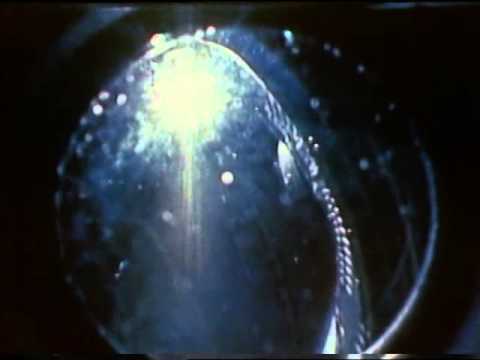 The Gemini II Re-Entry Mission (1965) - YouTube