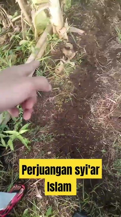 perjuangan syi'ar Islam - YouTube