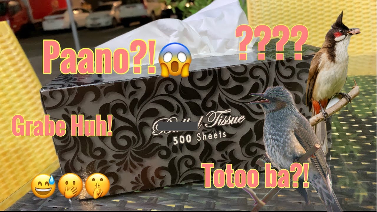 TRUTH BEHIND THIS BULBUL TISSUE BRAND NAME ONE OF THE WEIRDEST BRAND truth-behind-this-bulbul-tissue-brand-name-one-of-the-weirdest-brand