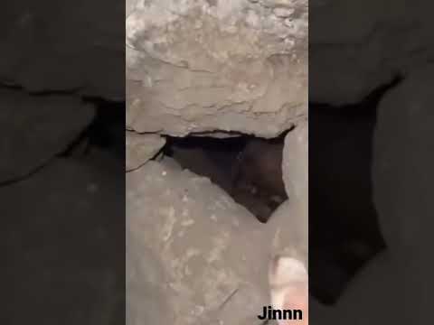 Jinn caught on camera