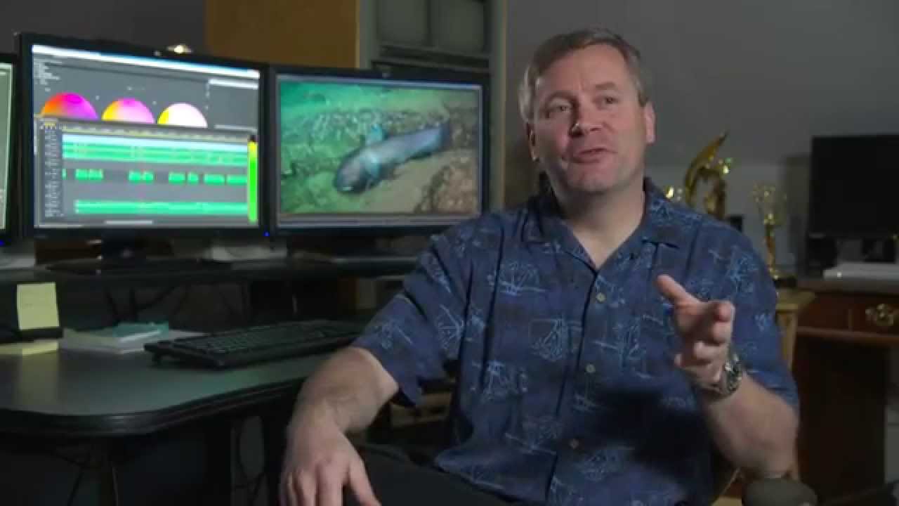 Jonathan Bird's Blue World: Beneath The Surface - YouTube