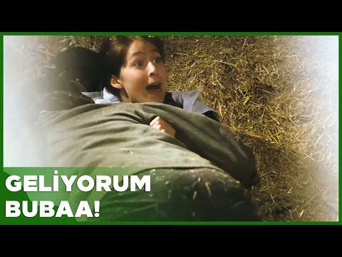 Abuk Sabuk 1 Film Türk Filmi | Bingül Ne İşler Karıştırıyor!