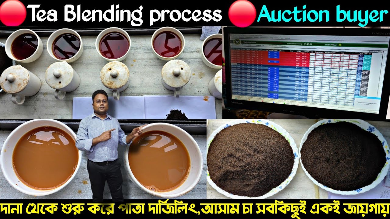 চা হোলসেলার কলকাতা | চা ব্যবসার আইডিয়া | Tea wholesaler in Kolkata ...