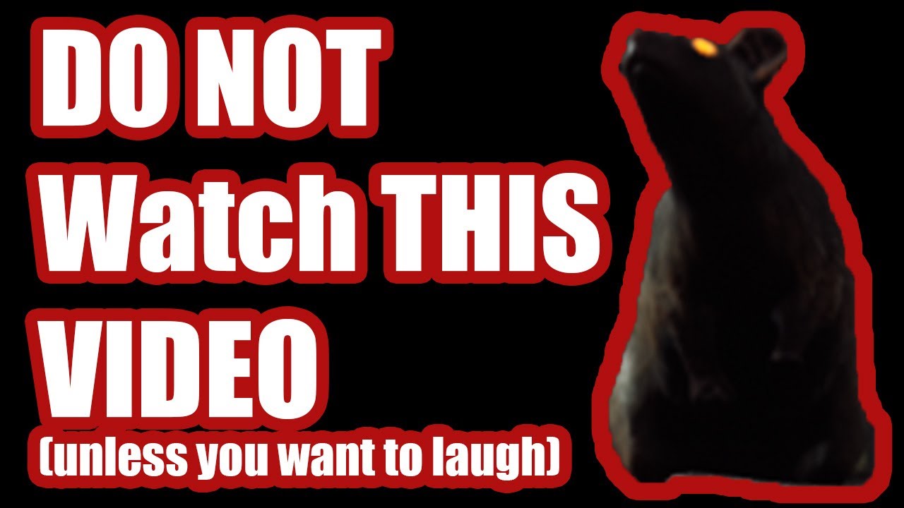 DO NOT WATCH THIS VIDEO (unless you wanna laugh) - YouTube