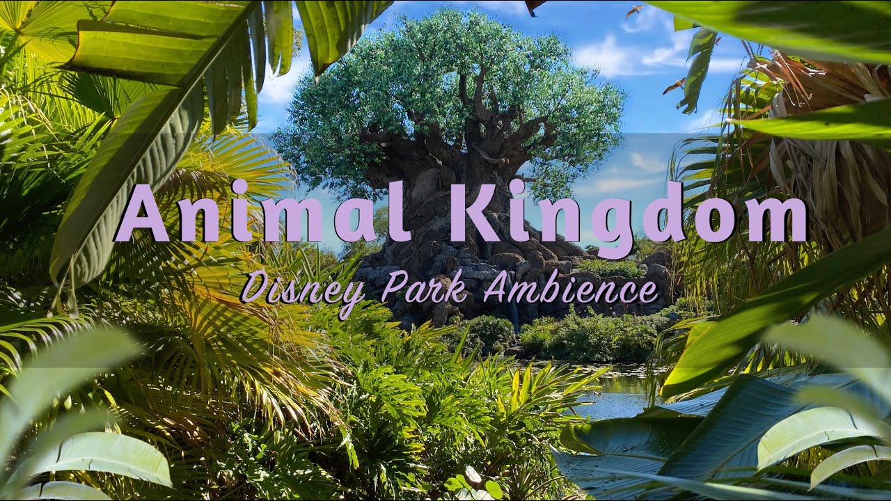 🌳 Disney's Animal Kingdom Ambience 🌿 - YouTube