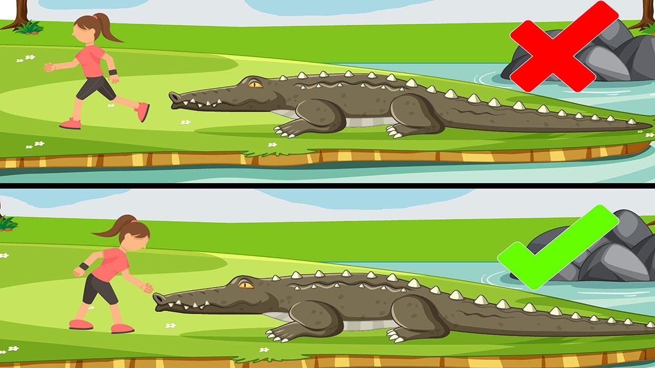 How to Survive Wild Animal Attacks Part 1 - YouTube