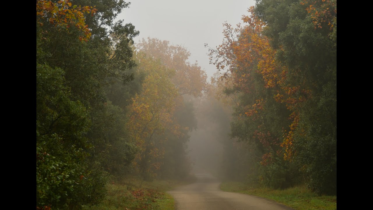 Tim Broadbent: 'RAGLAN ROAD' (Patrick Kavanagh). Guitar Lâg 'Michel ...