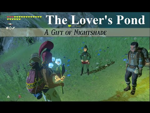 Zelda - BOTW - Part 61 - The Lover's Pond (Cloyne's Treasure-chest game ...