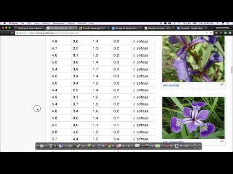 Introduction to IRIS dataset and 2D scatter plot - YouTube