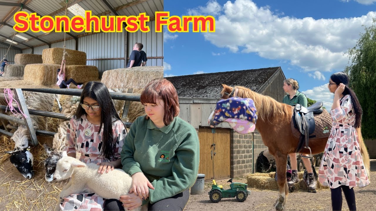 STONEHURST FARM UK | Leicester’s Farm and Animals 🐐🐴 - YouTube