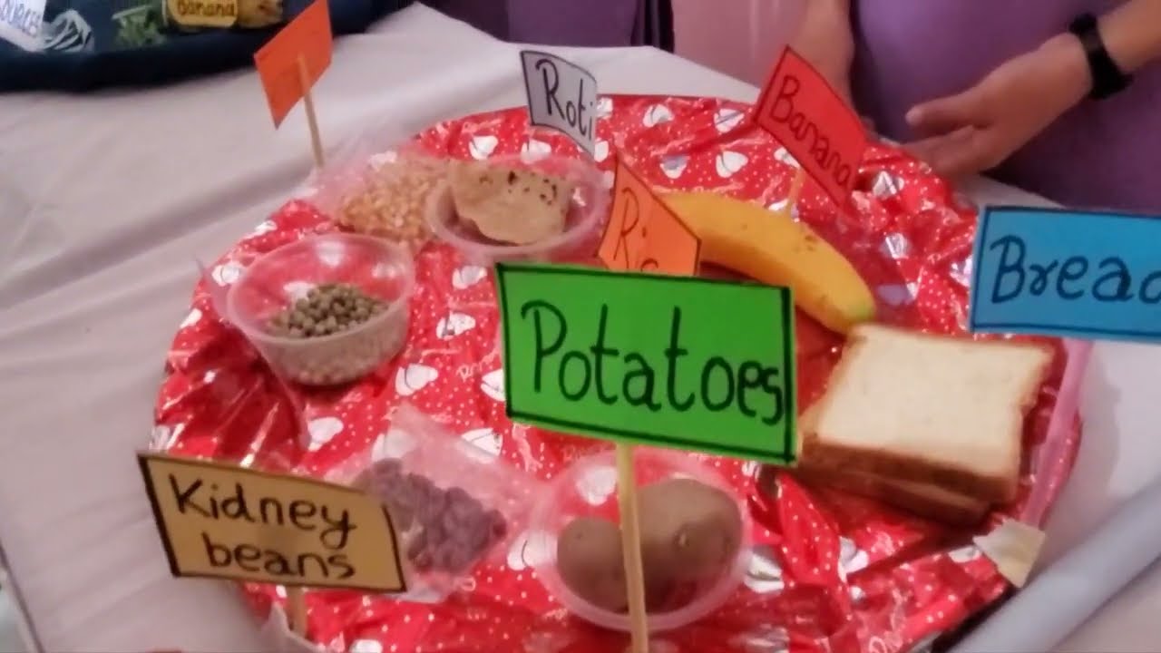 Nutrition exhibition 🇳🇵/Mayadevi Technical College ️PBNS/BSC/PCL ...