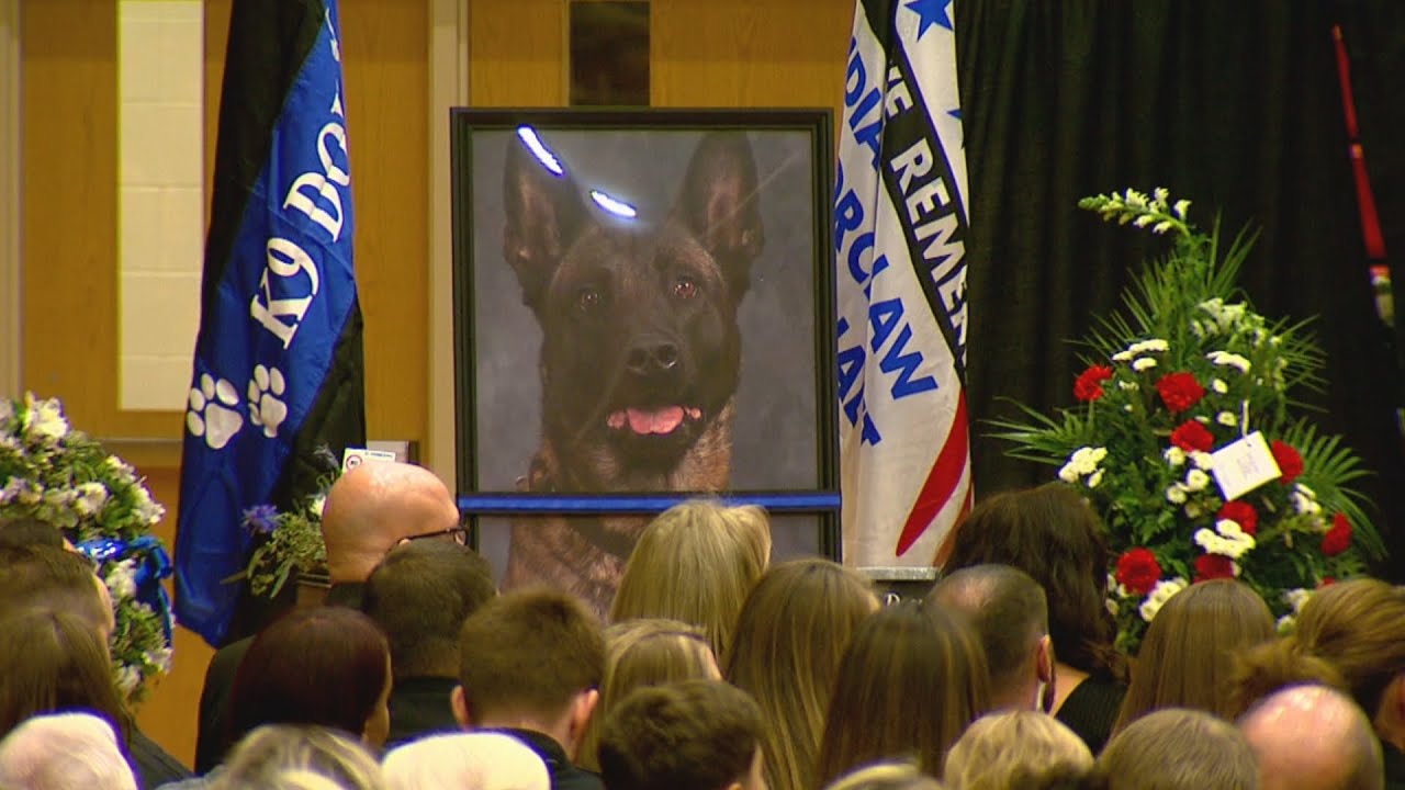 Celebration of life for Fishers, Indiana, police dog Officer Harlej ...