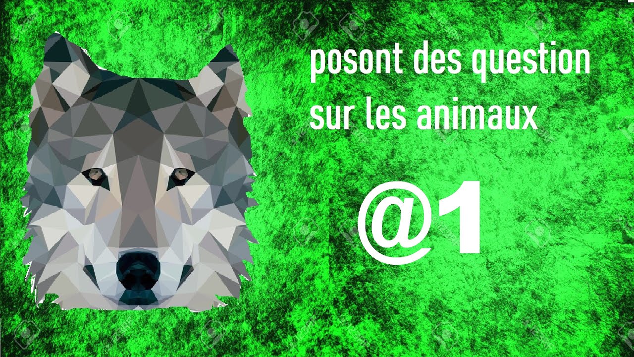 Posons des question sur les animaux (1 qustion sur les enfant) #A1 ...
