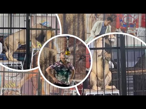 Explore Saudi Arabia || Circus at Dammam Corniche || Winter Time Pass ...