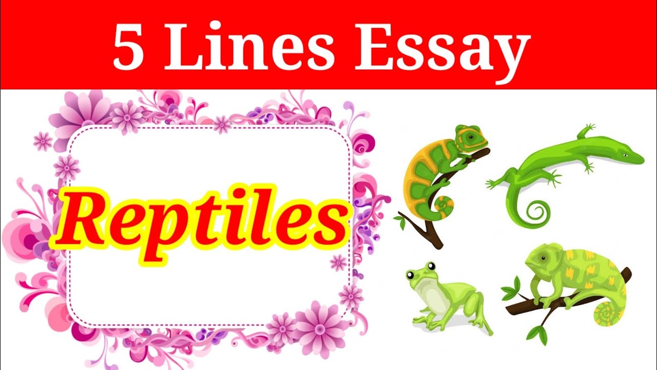 5 lines on Reptiles in english | essay on reptiles | reptiles essay in ...