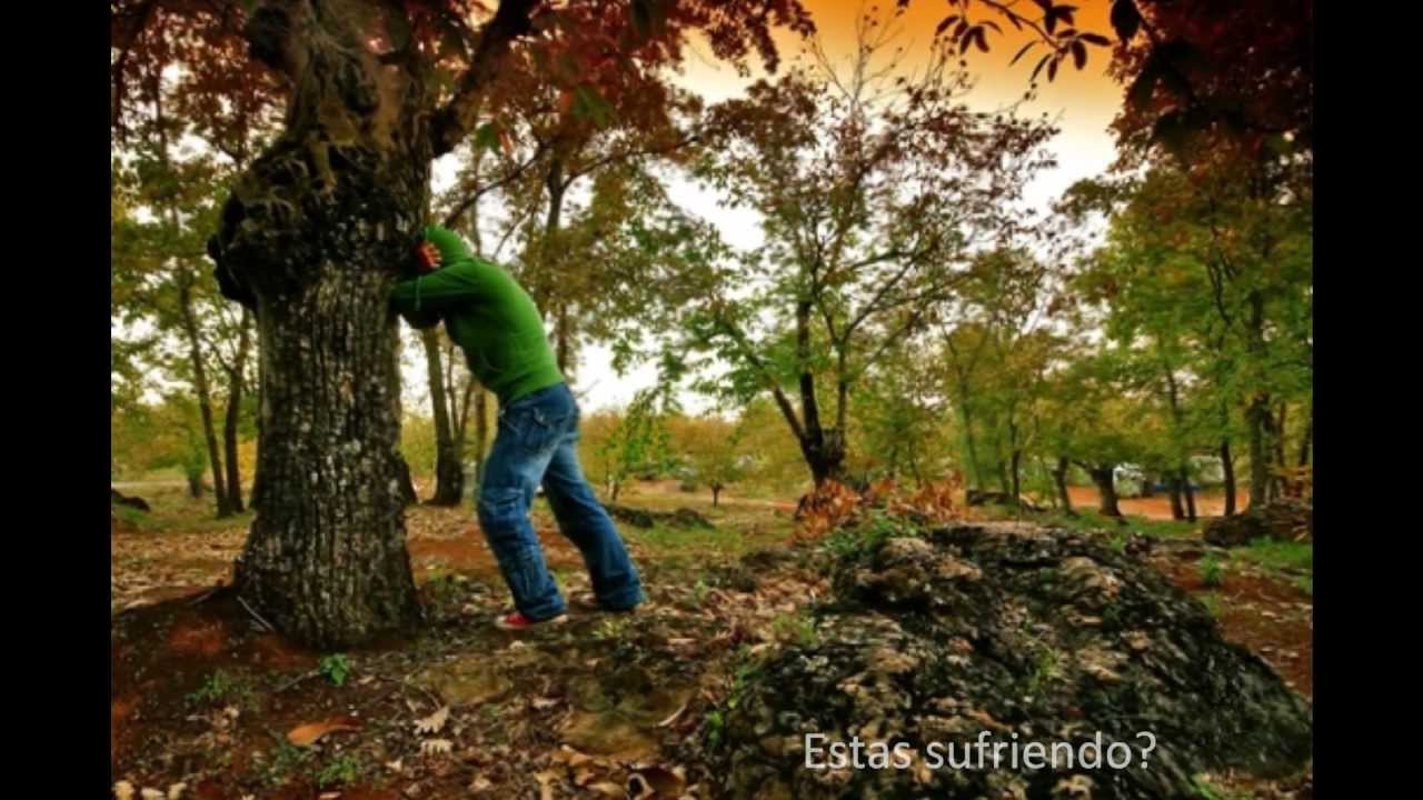 simplemente alaba.wmv - YouTube