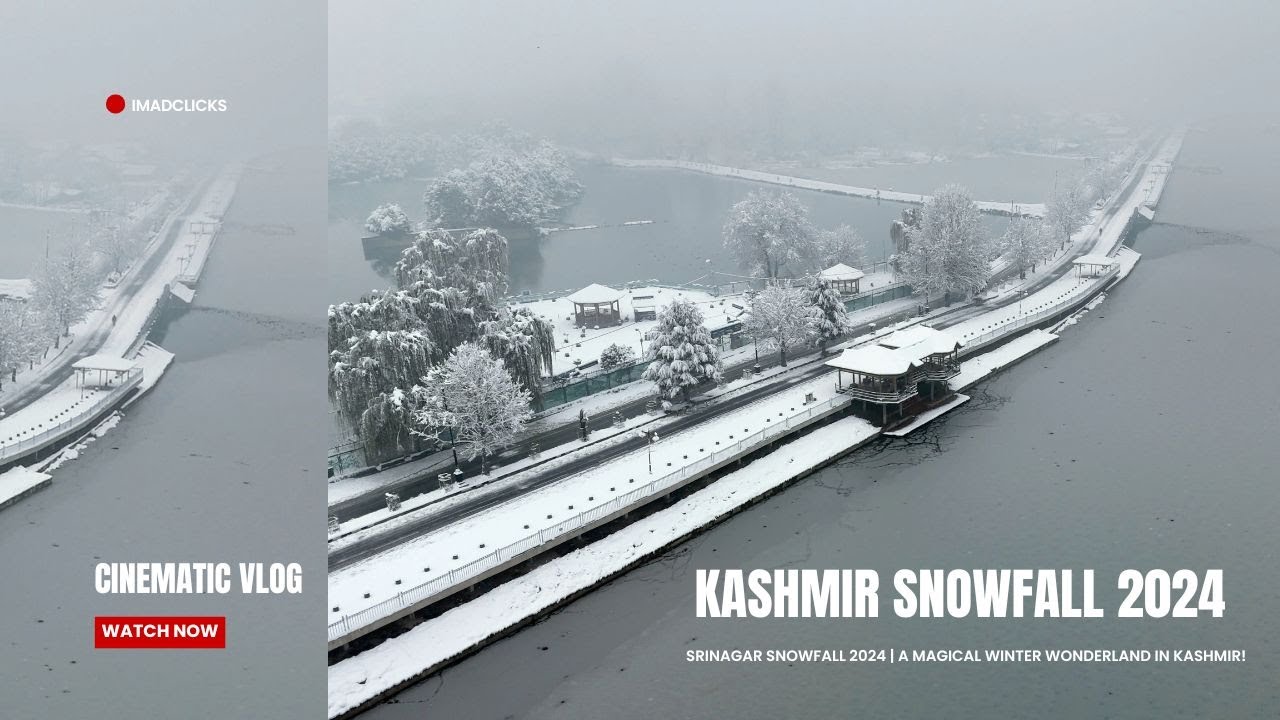 “This is What SNOWFALL in SRINAGAR Really Looks Like! 🌨️ | Kashmir 2024 ...