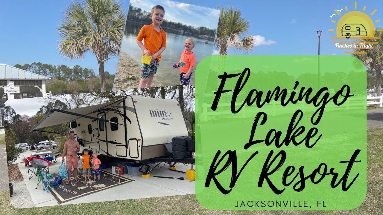Flamingo Lake RV Resort, Jacksonville Florida - Campground Tour - YouTube