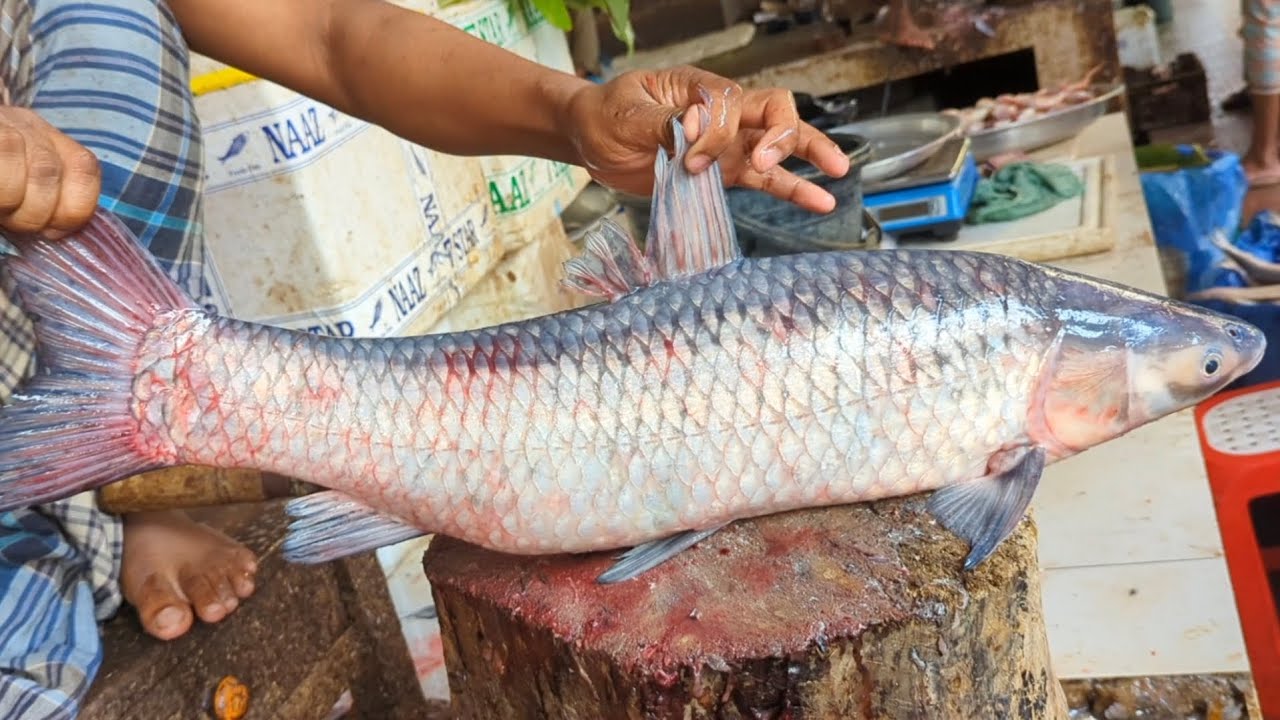 Amazing Giant Grass Carp Fish Cutting Skills In Bangladesh Fish Market ...