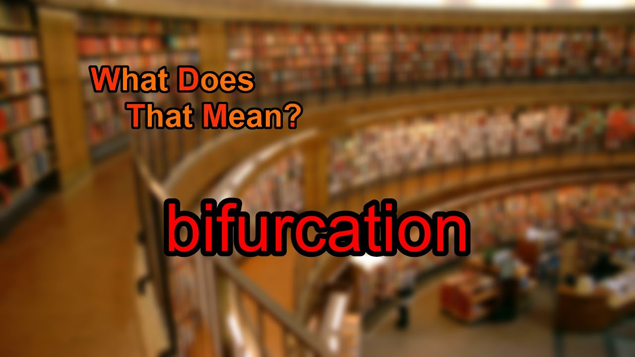 What does bifurcation mean? - YouTube