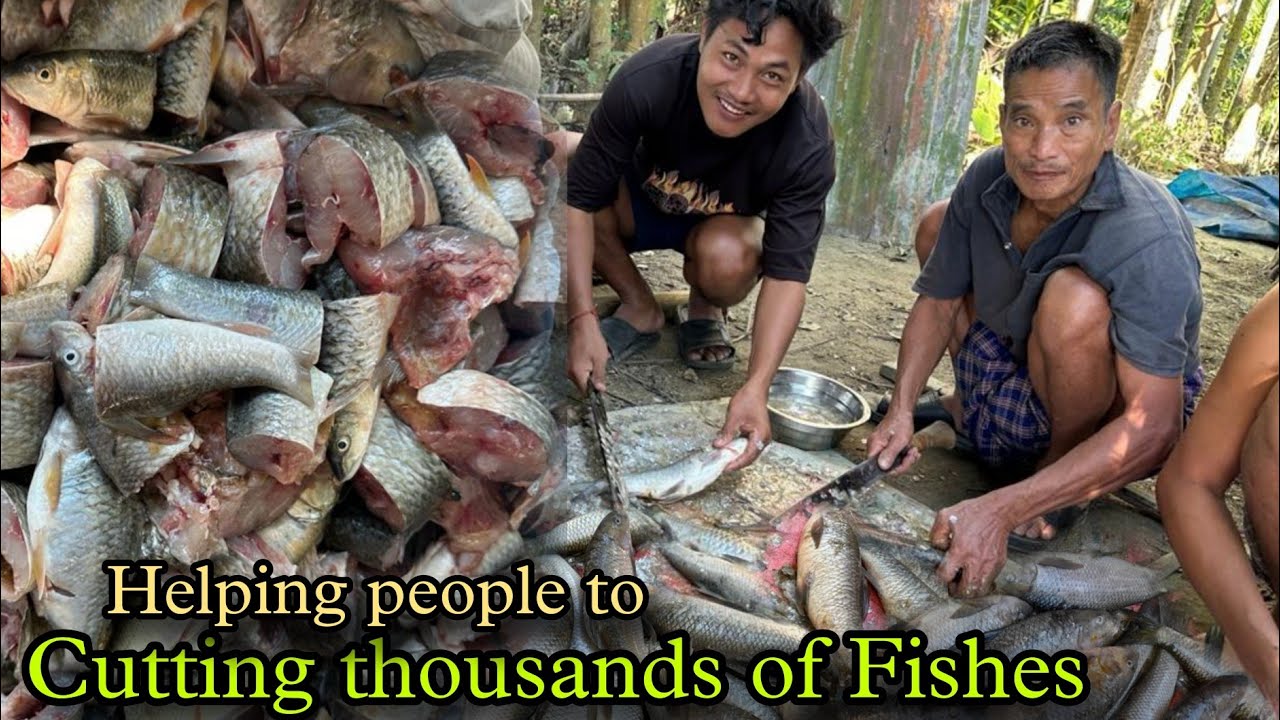 helping people of cutting thousands of fish during @RupamTheExplorer ...