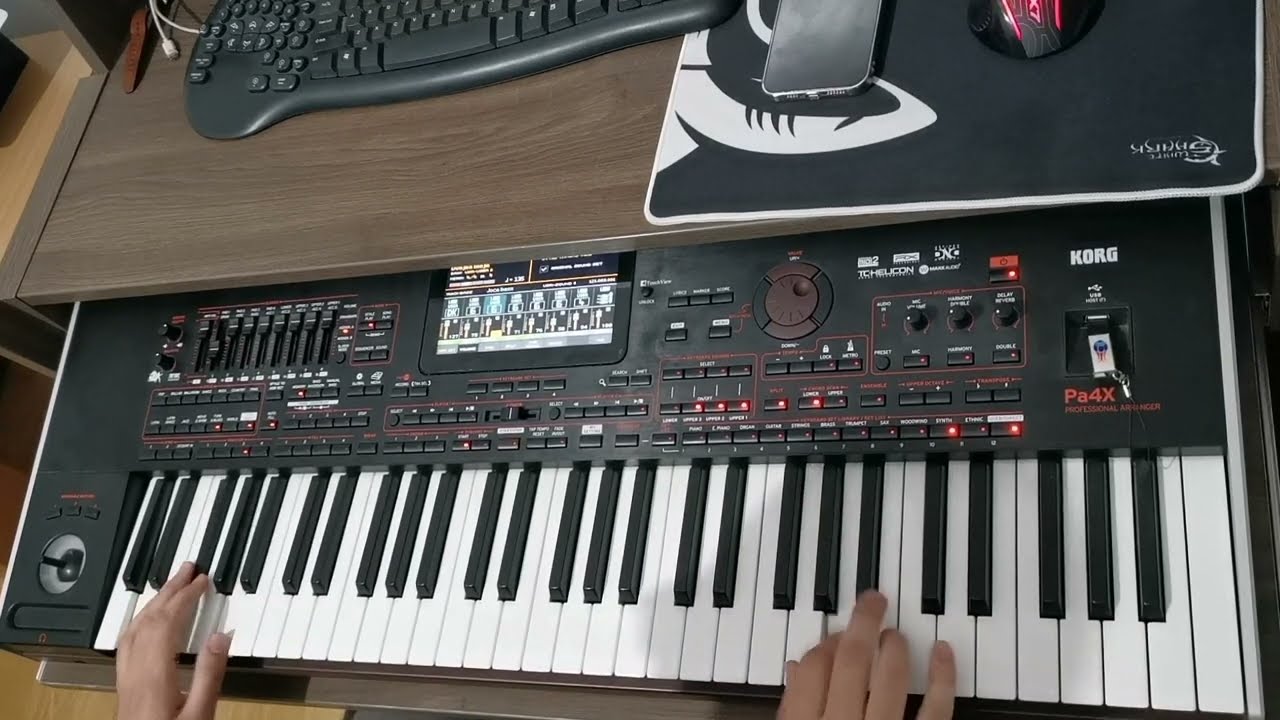 Danas nam je DIVAN DAN ali NA MOJ NACIN! // korg pa4x live Chords ...