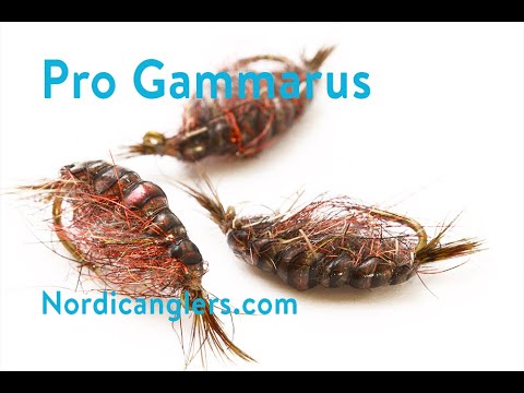 Fly tying "The Pro Gammarus" Trout nymph fly (Step-by-step tutorial ...