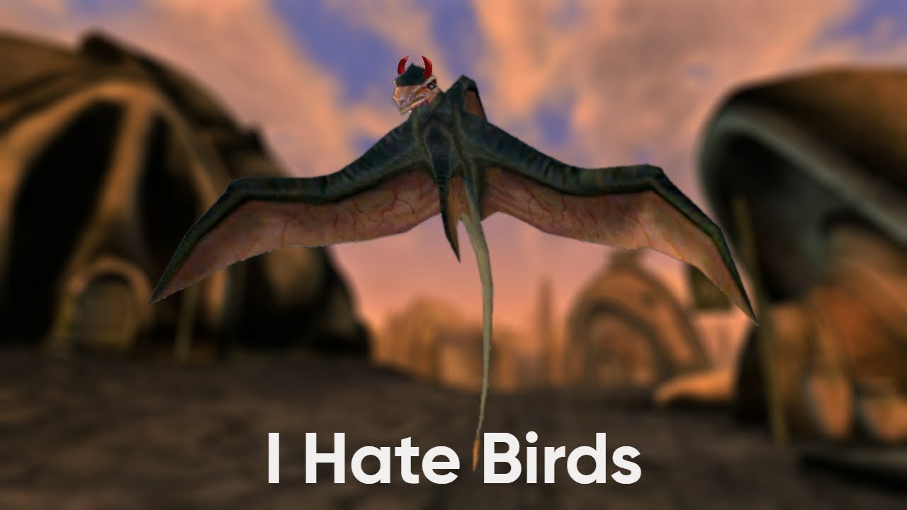 I Hate Birds - YouTube
