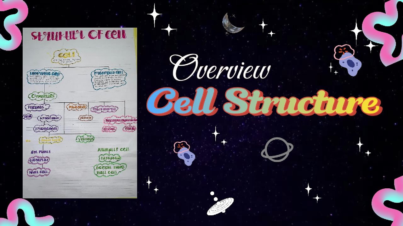 Overview Cell Structure - YouTube