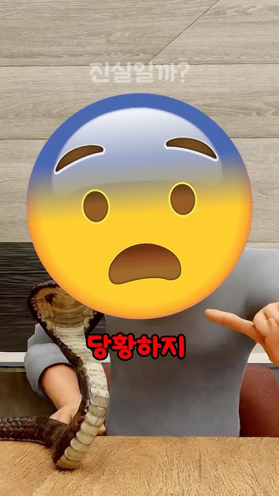 뱀에 물렸을때 살아남는 방법 Youtube