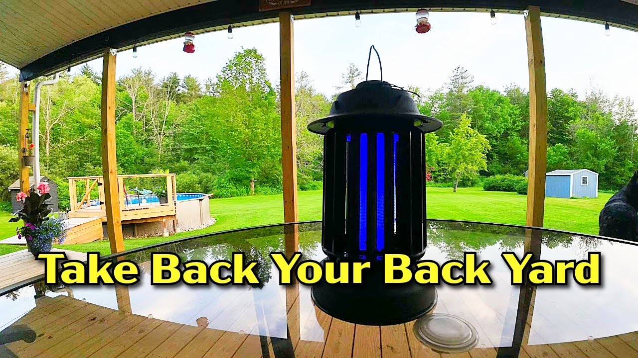 Take Down Bugs Fast with the Self-Cleaning Rechargeable Bug Zapper ...