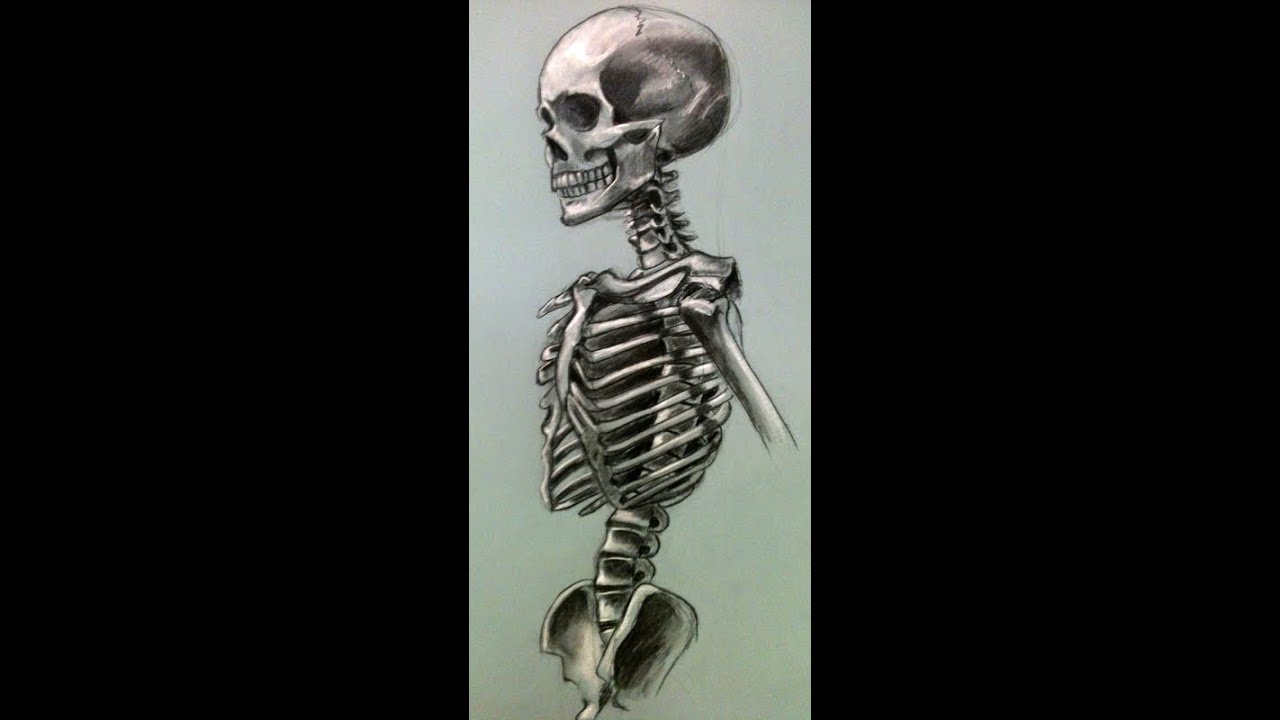 How to get a healthy Skeleton - YouTube
