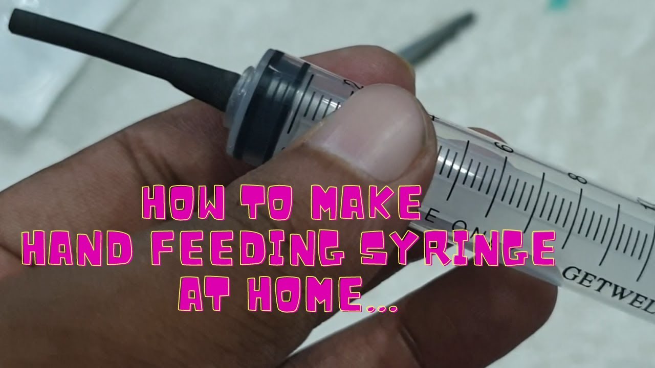 Home Made Baby Parrots Hand Feeding Syringe Video | How to make Birds ...