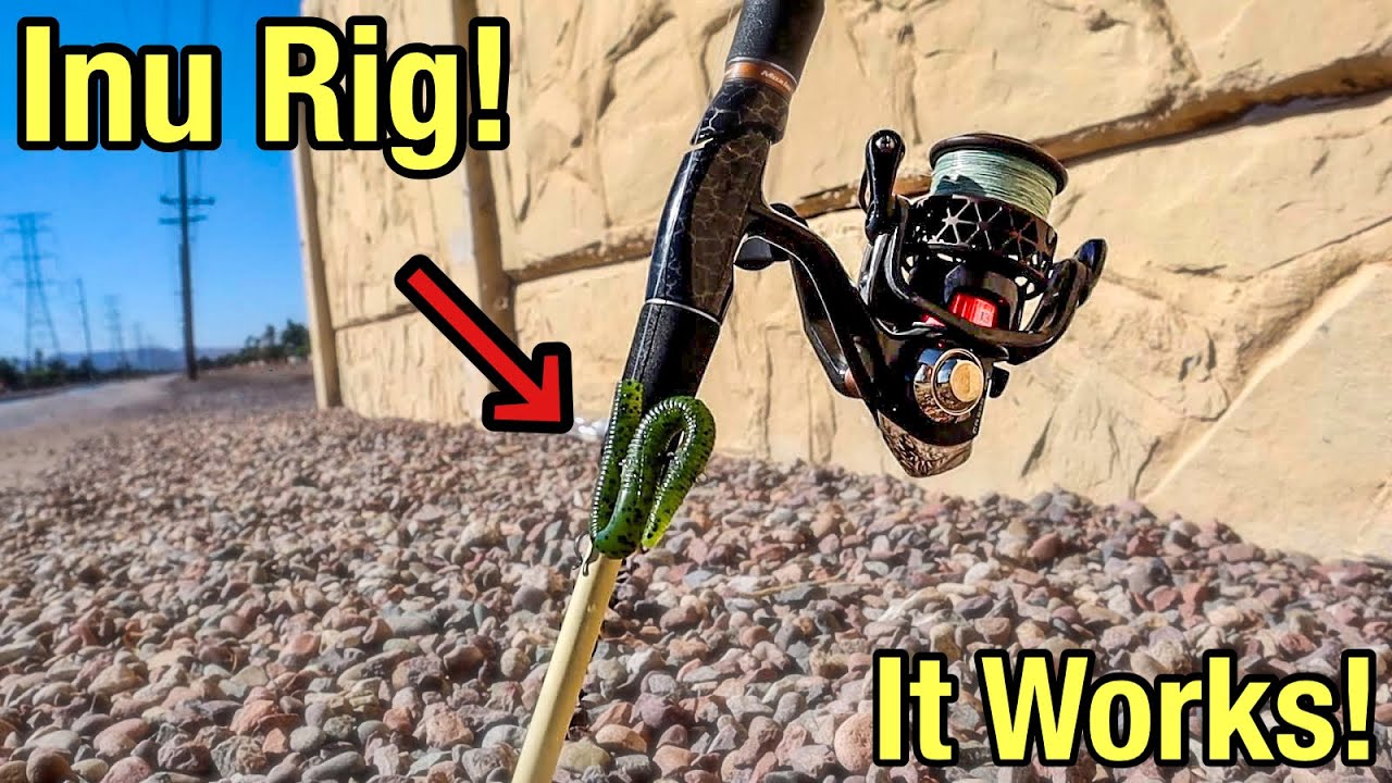 How to Rig the Inu Rig | Inu Rig Catches Agressive Fish!! - YouTube