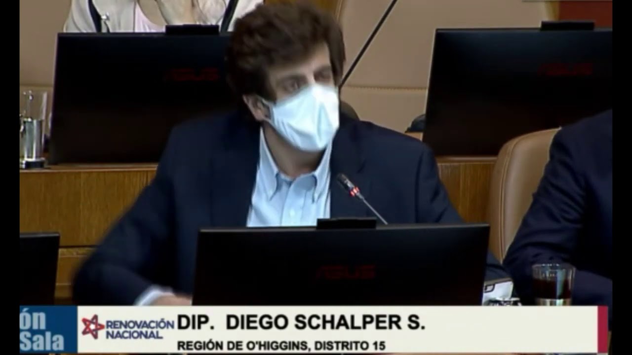 DIPUTADO DIEGO SCHALPER SOBRE EL RETIRO DE AFP - YouTube
