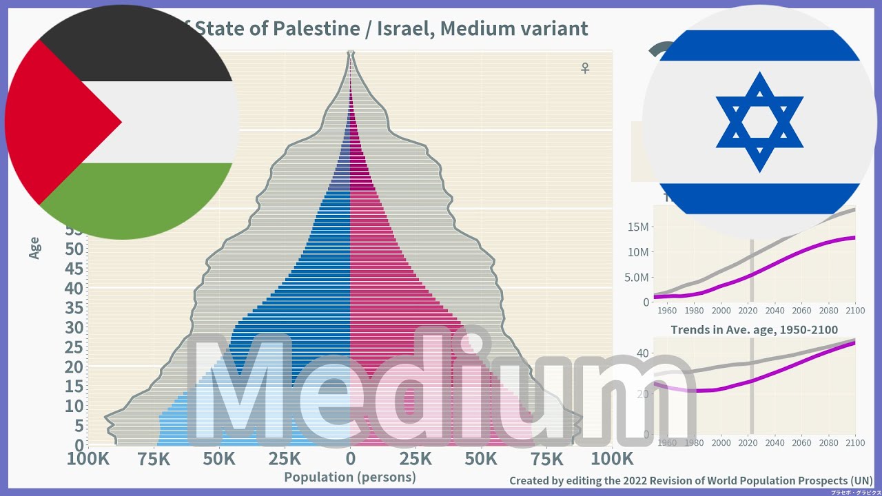 [🇵🇸Palestine vs 🇮🇱Israel] Comparison of Population Pyramids (1950-2100 ...