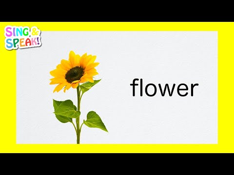 How to pronounce flower - YouTube