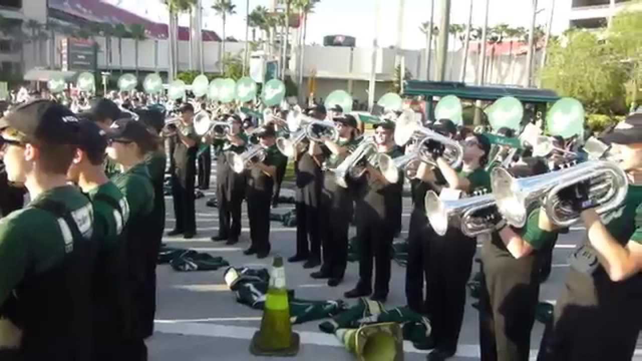 USF Herd of Thunder Oct 2014 - YouTube
