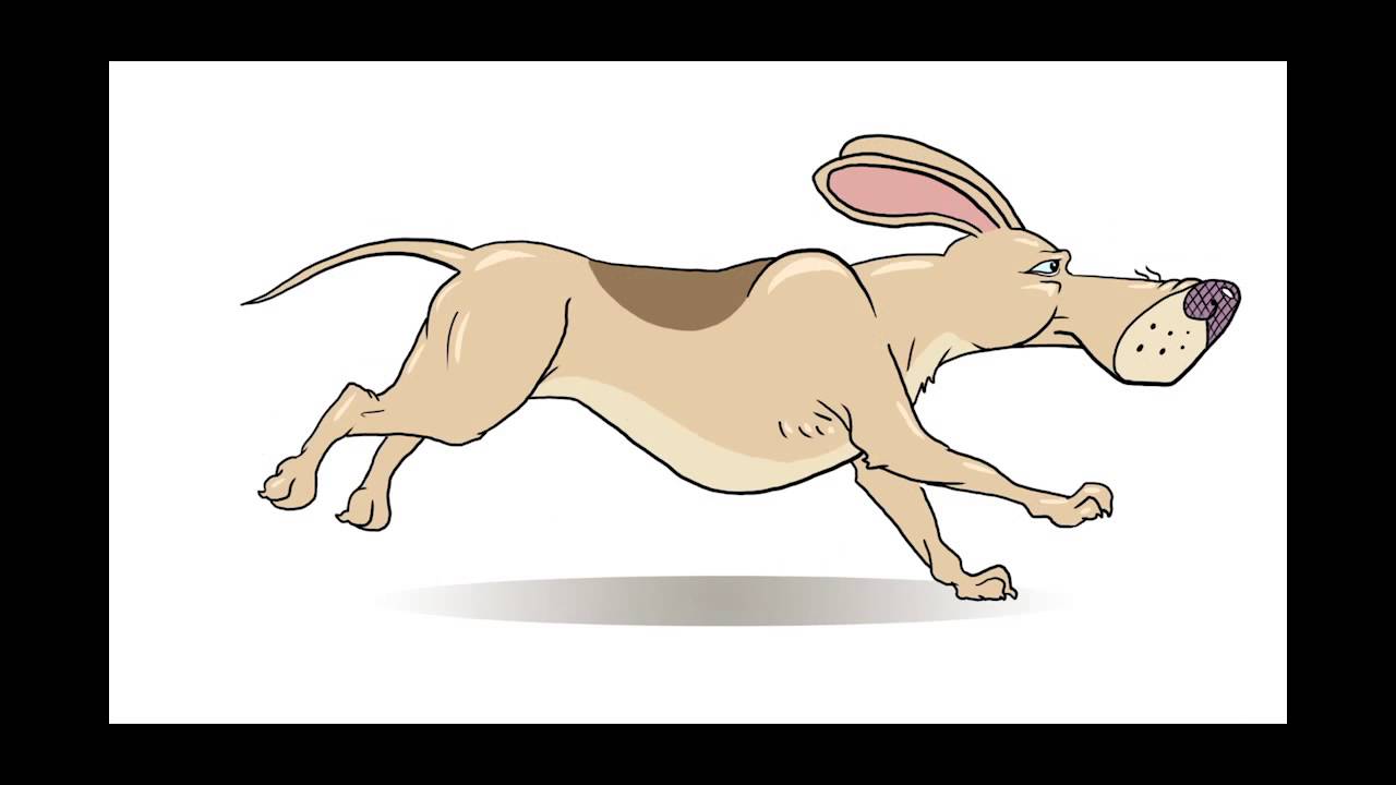 Dog Walk, Trot, Run - YouTube