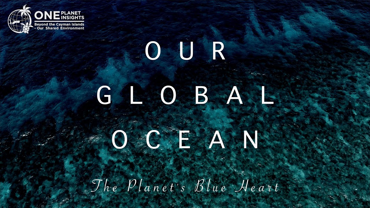 One Planet Insights presents Our Global Ocean: The Planet's Blue Heart ...