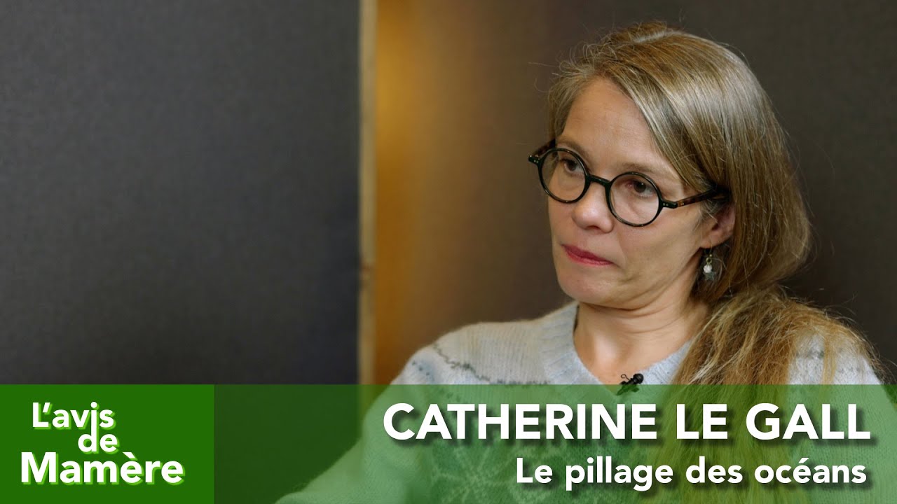 #12. Catherine Le Gall : le pillage des océans. - YouTube