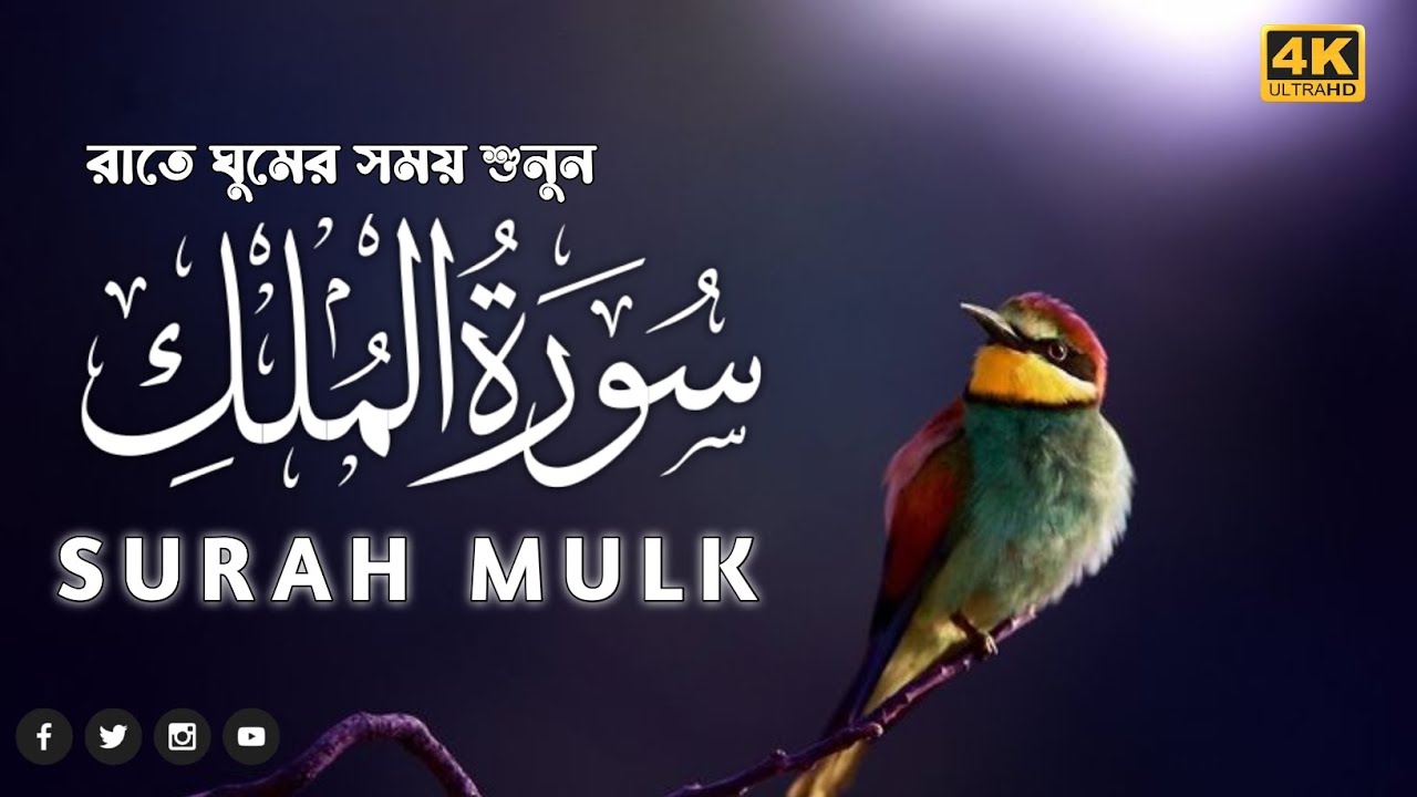 হৃদয় ছুয়ে যাওয়া কন্ঠে সুরা মুলক | Recited By Hafez Talha Abdullah ...
